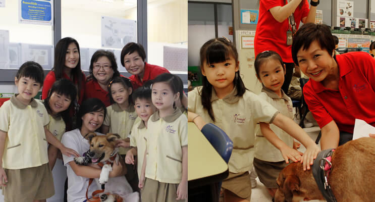 School Programs – SOSD
