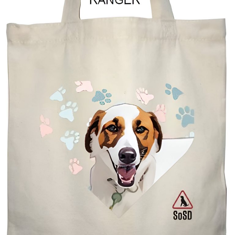 SOSD – Dog Shelter Volunteer & Donation Singapore