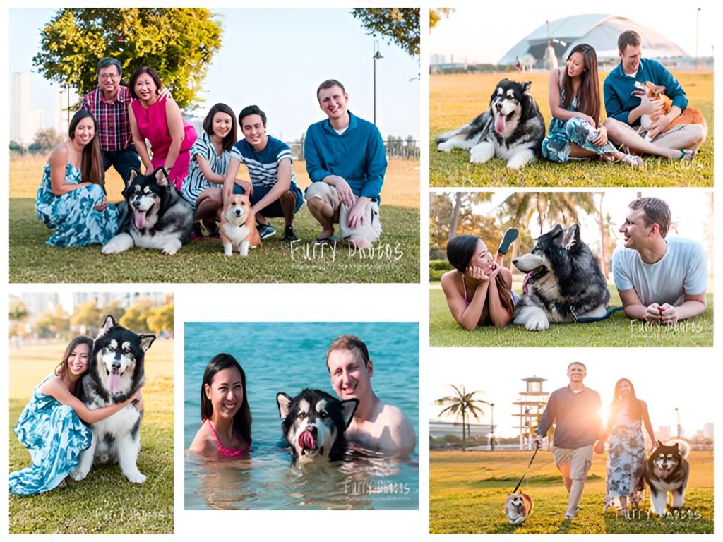 An Alaskan Malamute’s fate with Crystal and Alex - SOSD