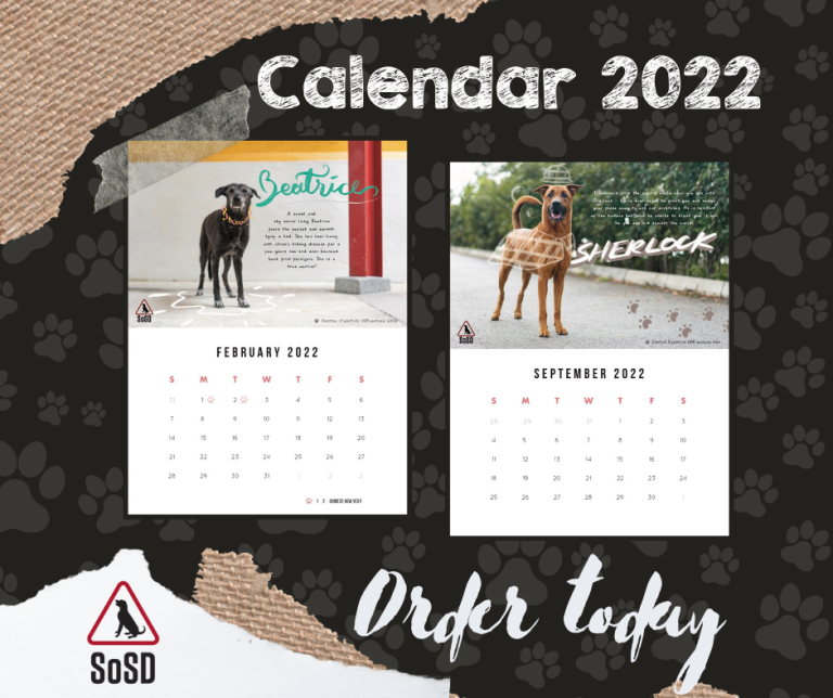 Pre-Orders now on for the SOSD 2022 Calendar! - SOSD