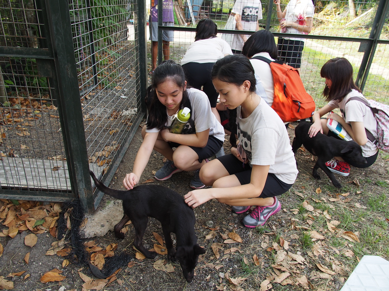 Shelter Tours - SOSD